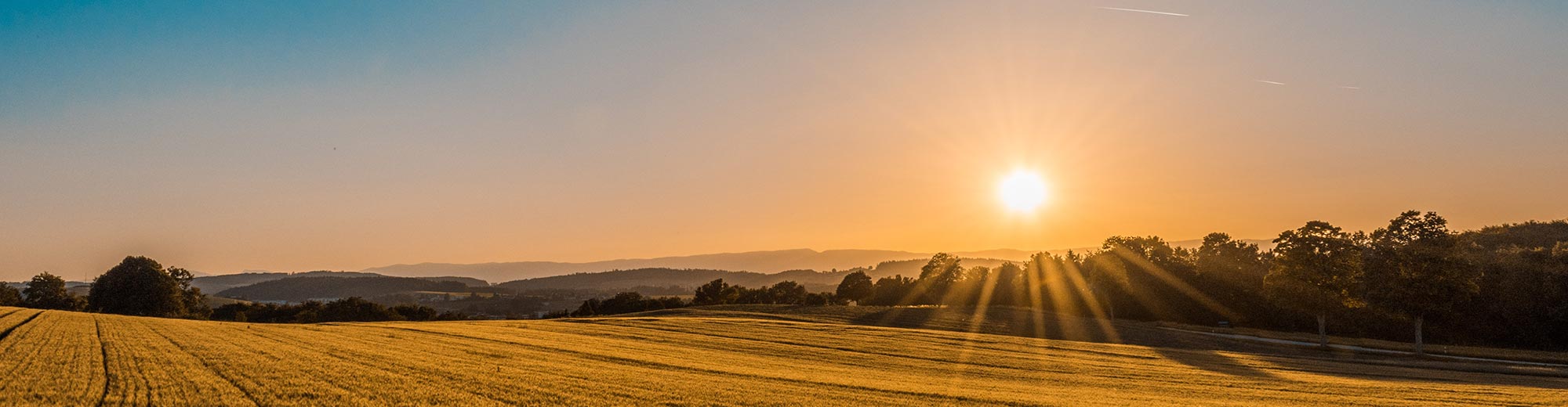 Beacon of Hope | The Samaritans on Cape Cod & the Islands