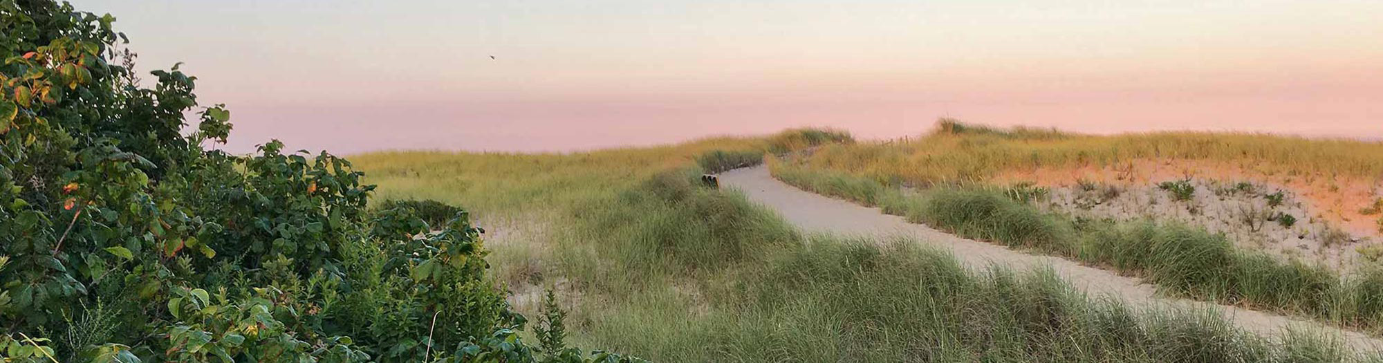 Meet the Team | Samaritans on Cape Cod & the Islands